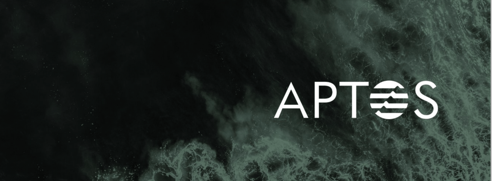 Aptos 官方解讀白皮書：Move 語言建構下的高安全性公鏈 - Grenade 手榴彈