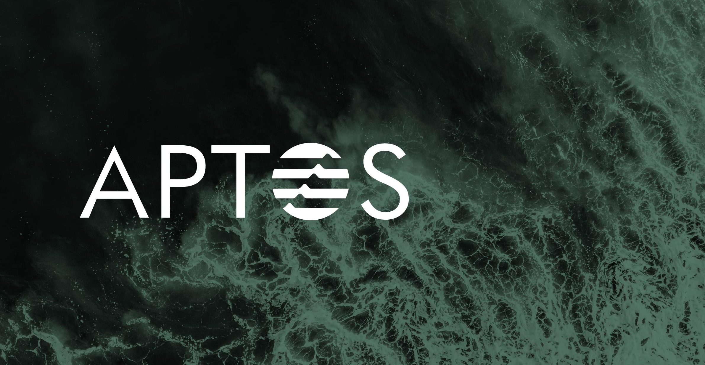 Aptos 系列 3 – 深入探討 EVM, Solana, Move 區塊鏈之優劣 - Grenade 手榴彈